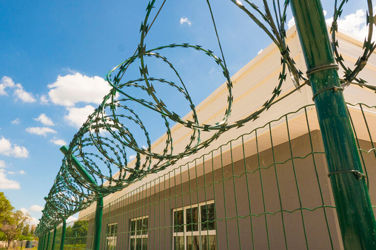 Concertina - Lagotela